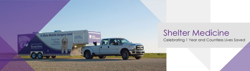 College of Veterinary Medicine | Kansas State University